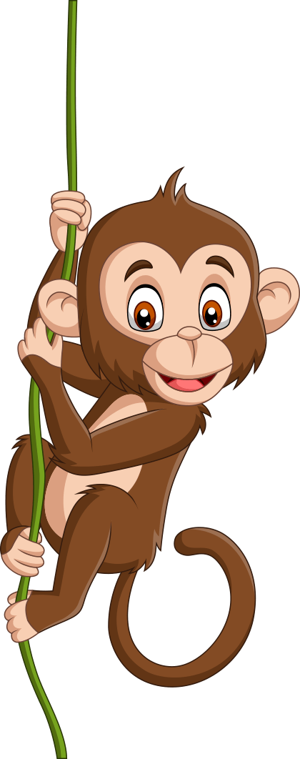Monkey Playland | Children's Soft Play Centre | Haslingden